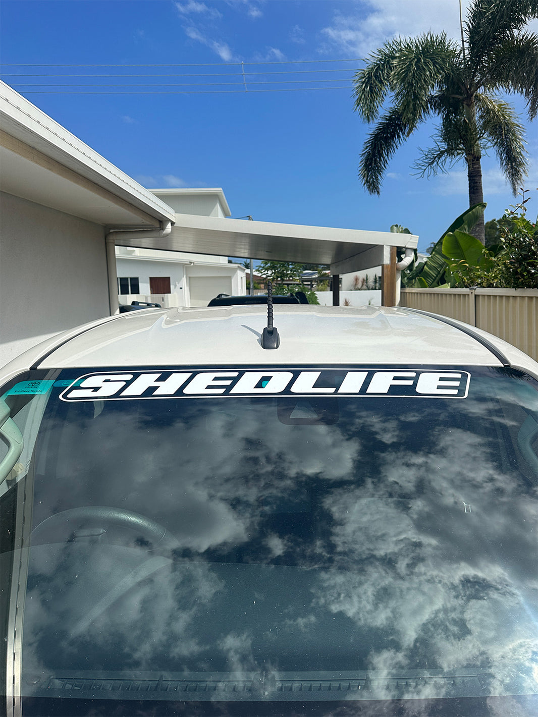 Shedlife Store